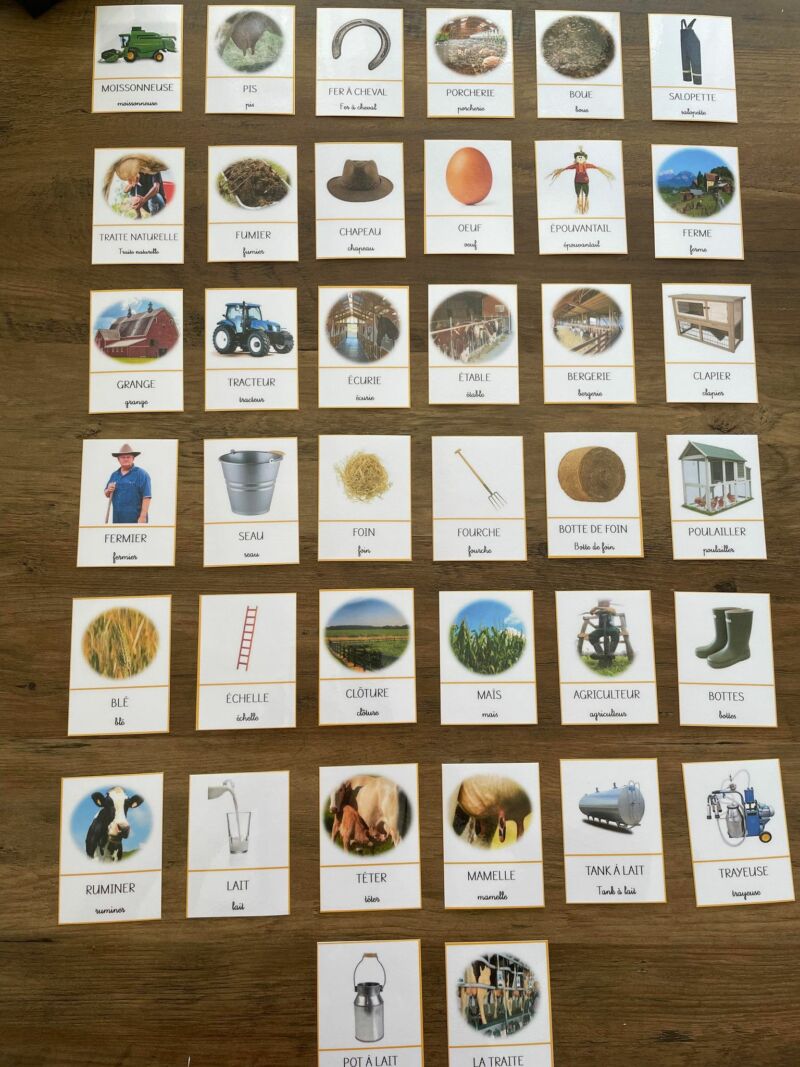 Cartes de nomenclature – Apprendre Simplement