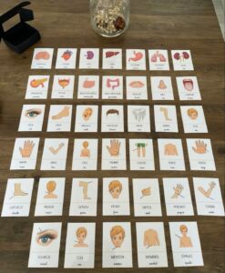 Cartes de nomenclature – Apprendre Simplement