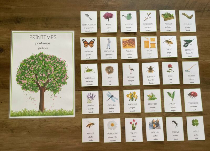 Les saisons – Apprendre Simplement