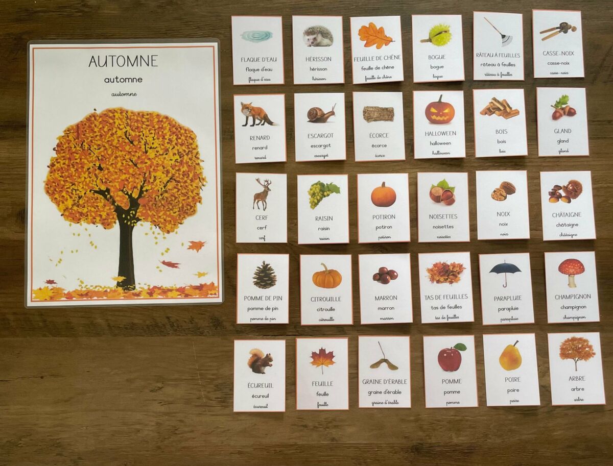 Les saisons – Apprendre Simplement