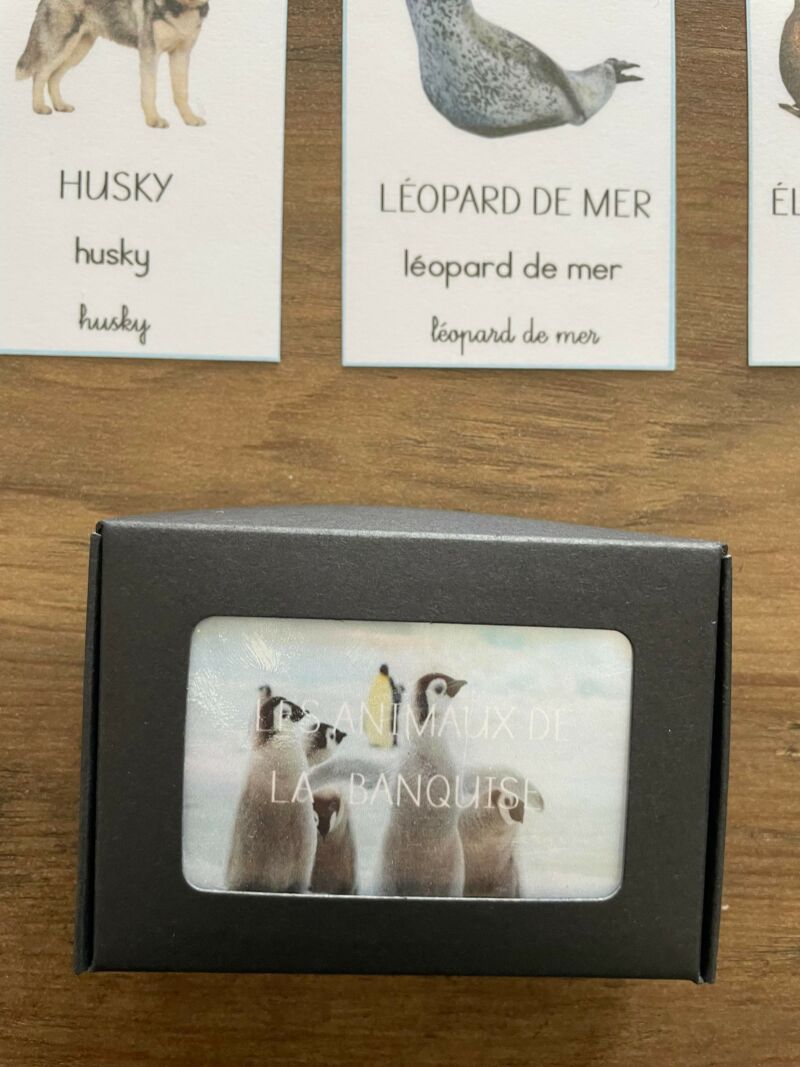 Cartes de nomenclature “Le corps humain” – Apprendre Simplement