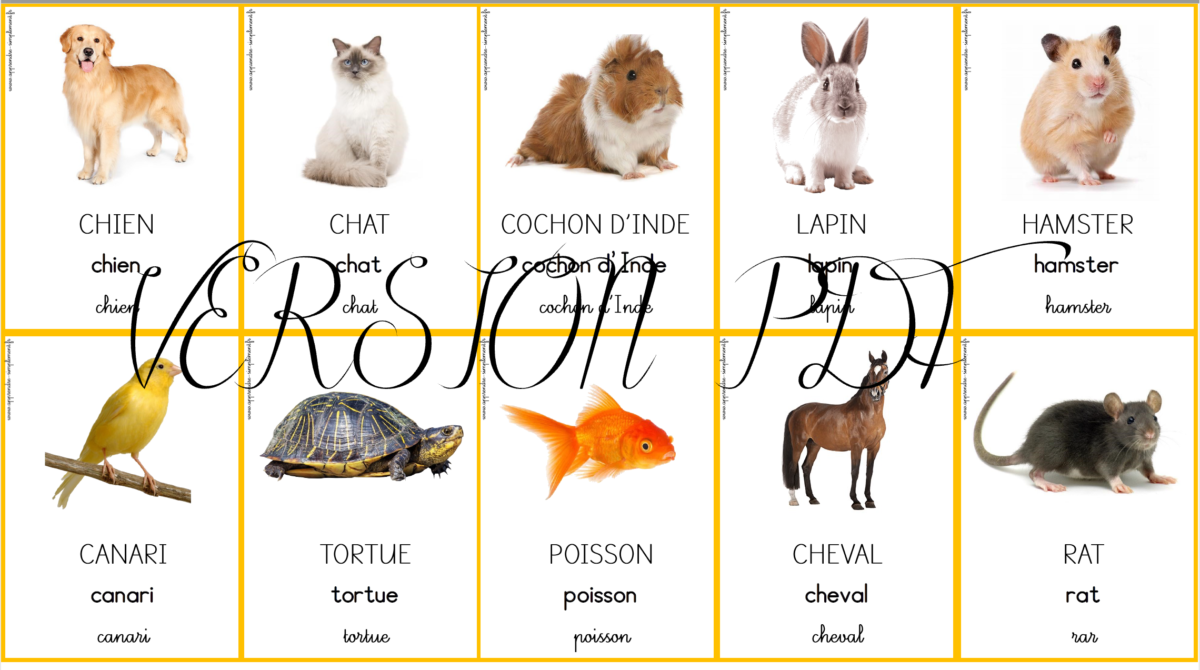 Les animaux de compagnie – Apprendre Simplement