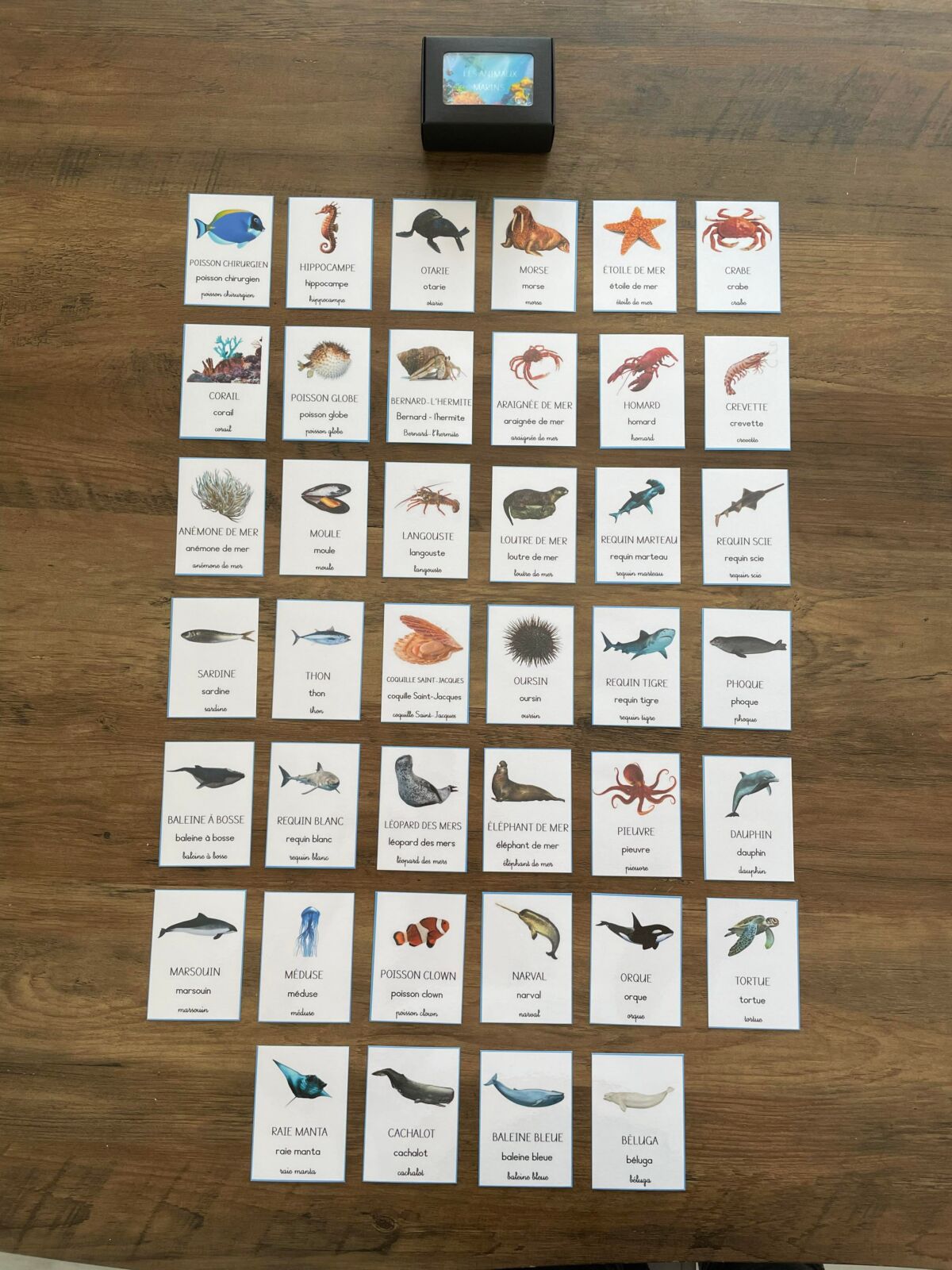 Les animaux marins – Apprendre Simplement