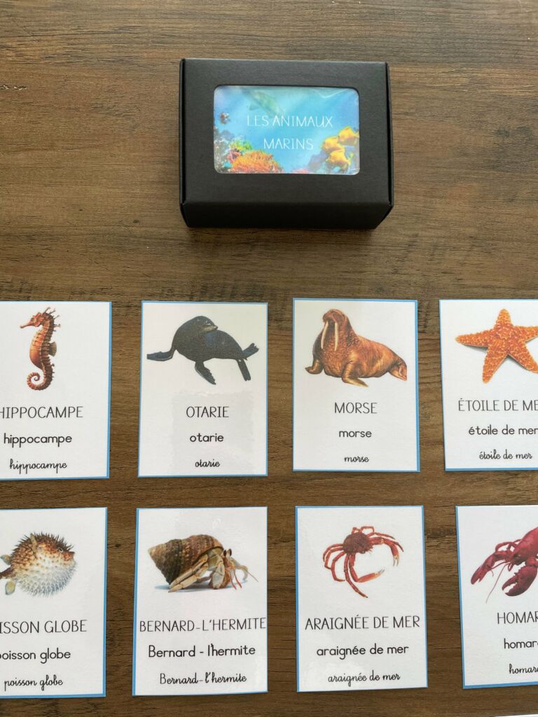 Les animaux marins – Apprendre Simplement