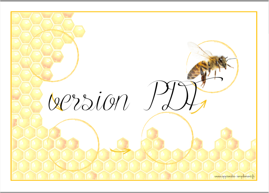 Cycle de vie de l’abeille – Apprendre Simplement