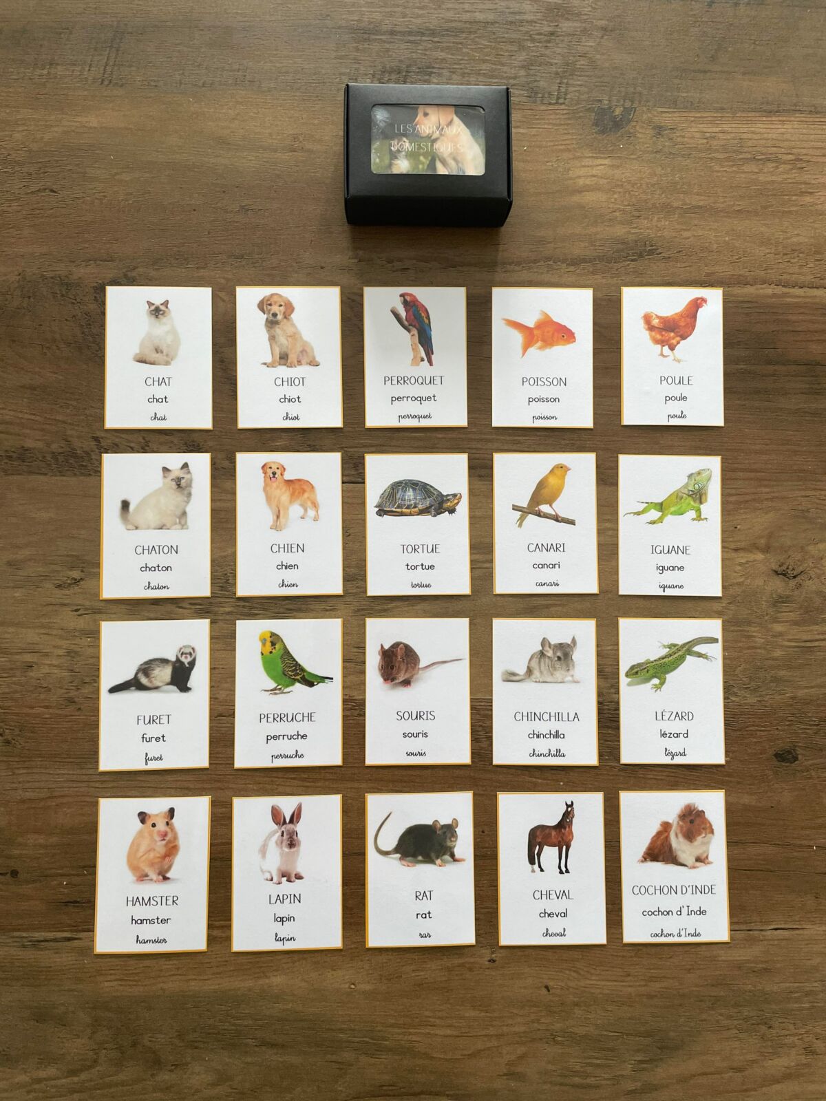 Cartes de nomenclature “Le corps humain” – Apprendre Simplement