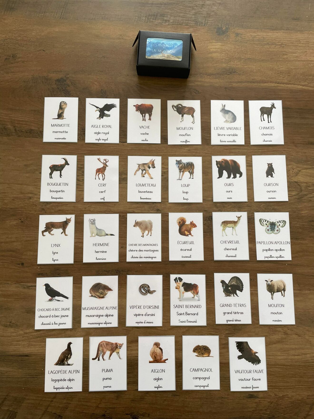 Les animaux de la montagne – Apprendre Simplement