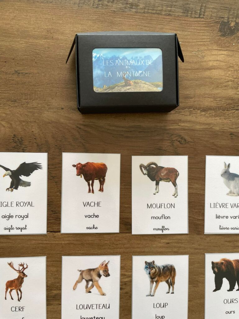 Les animaux de la montagne – Apprendre Simplement