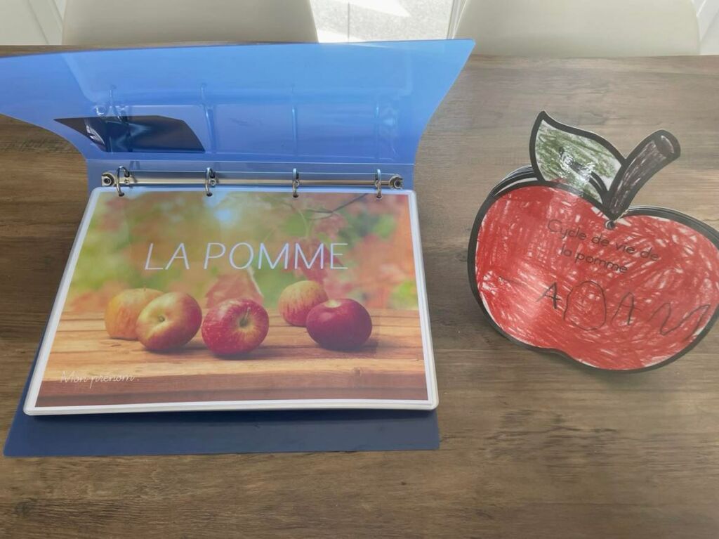 La pomme – Apprendre Simplement
