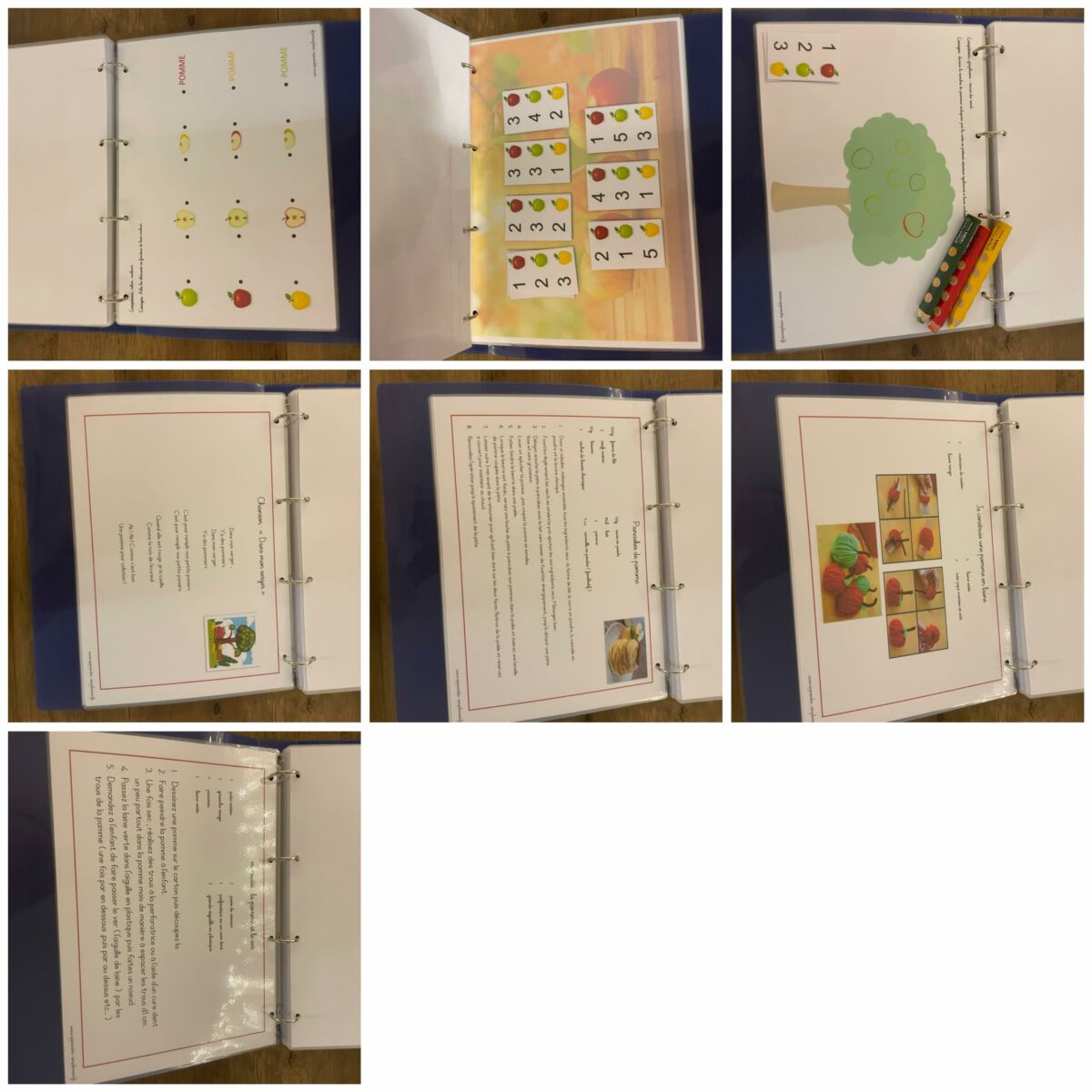 La pomme – Apprendre Simplement