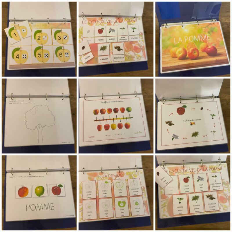 La pomme – Apprendre Simplement