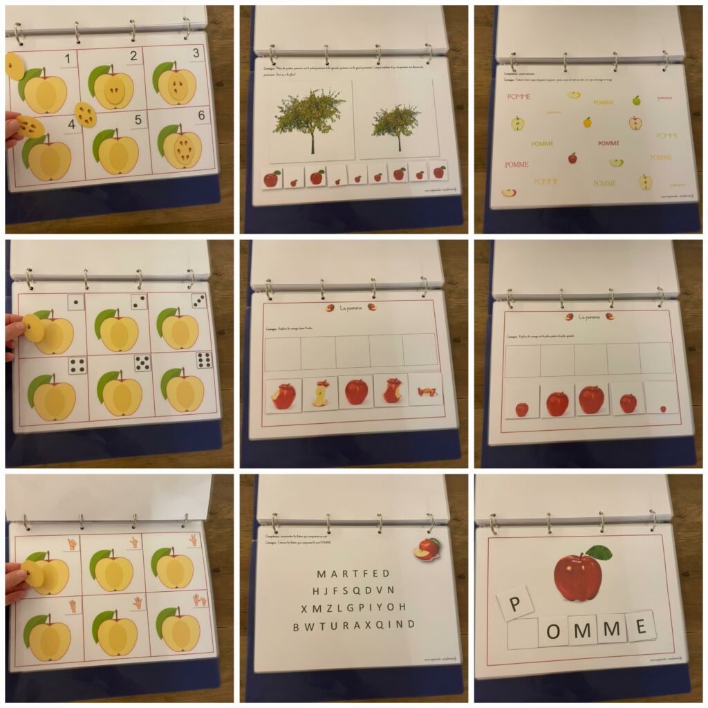 La pomme – Apprendre Simplement