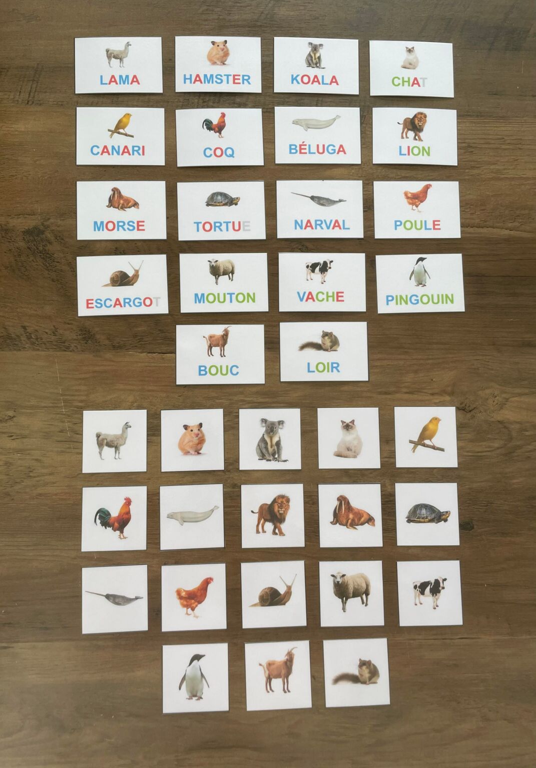 Pack animaux lettres mobiles colorées – Apprendre Simplement