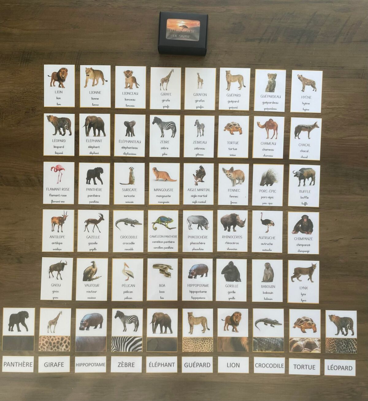 Les animaux de la savane – Apprendre Simplement