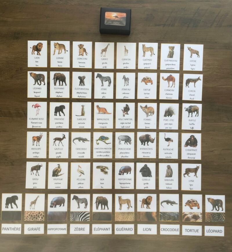 Les animaux de la savane – Apprendre Simplement