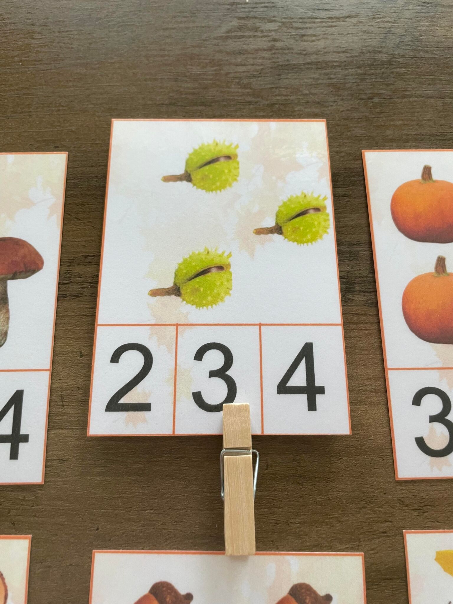 Cartes à pince et fiches mots automnales – Apprendre Simplement