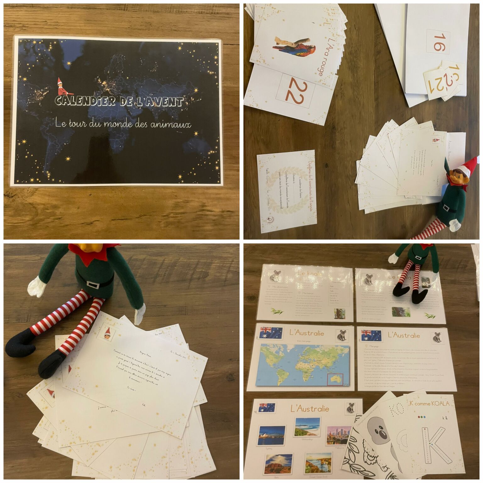 Calendrier de l’avent – Le tour du monde des animaux – Apprendre Simplement