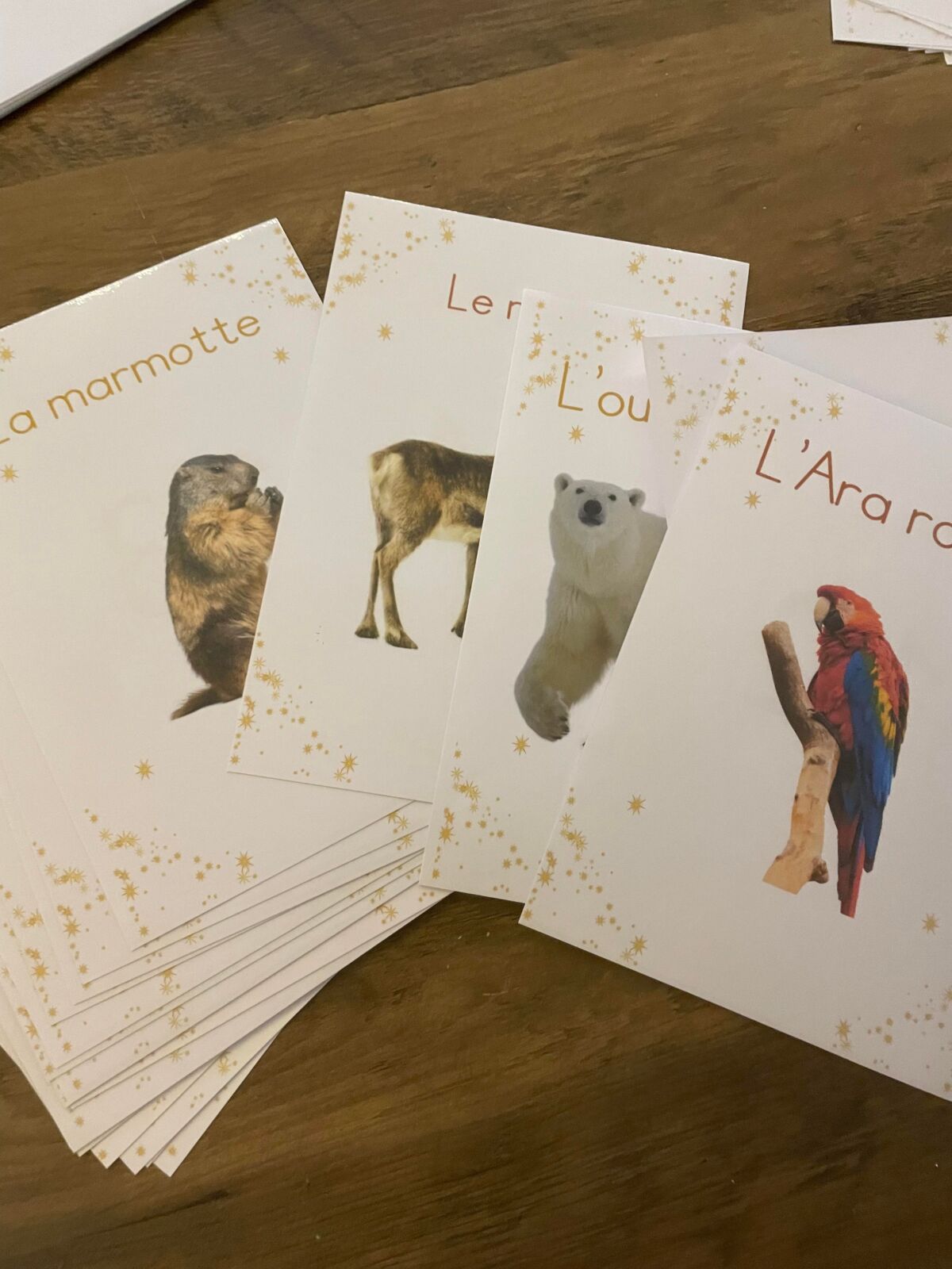 Calendrier de l’avent – Le tour du monde des animaux – Apprendre Simplement