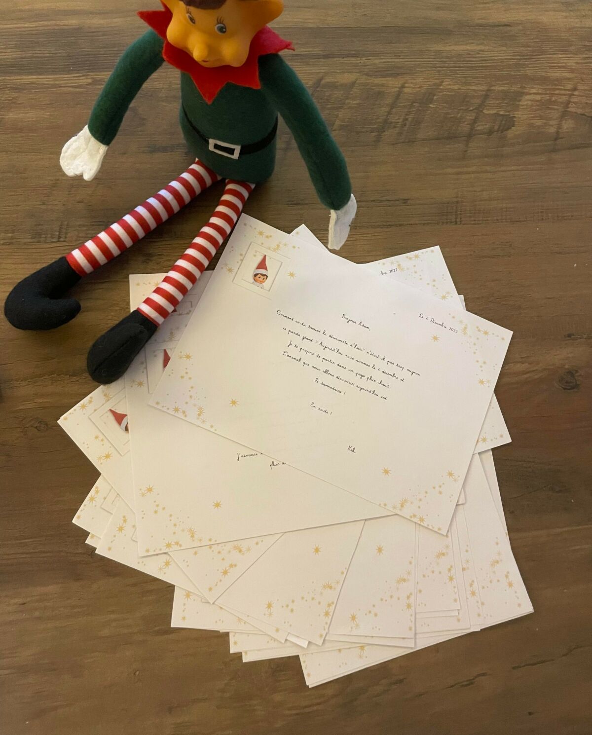 Calendrier de l’avent – Le tour du monde des animaux – Apprendre Simplement