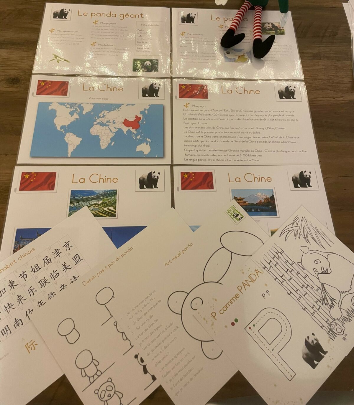 Calendrier de l’avent – Le tour du monde des animaux – Apprendre Simplement