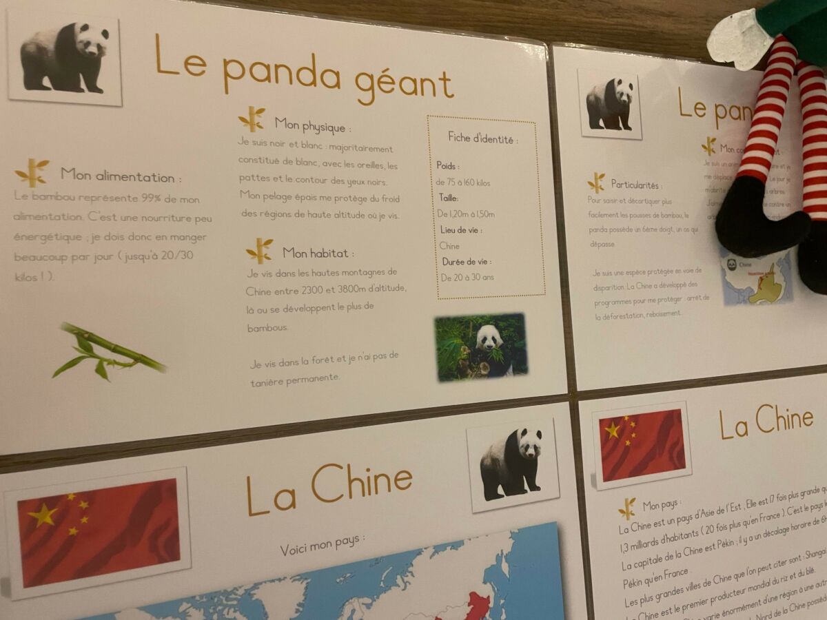 Calendrier de l’avent – Le tour du monde des animaux – Apprendre Simplement
