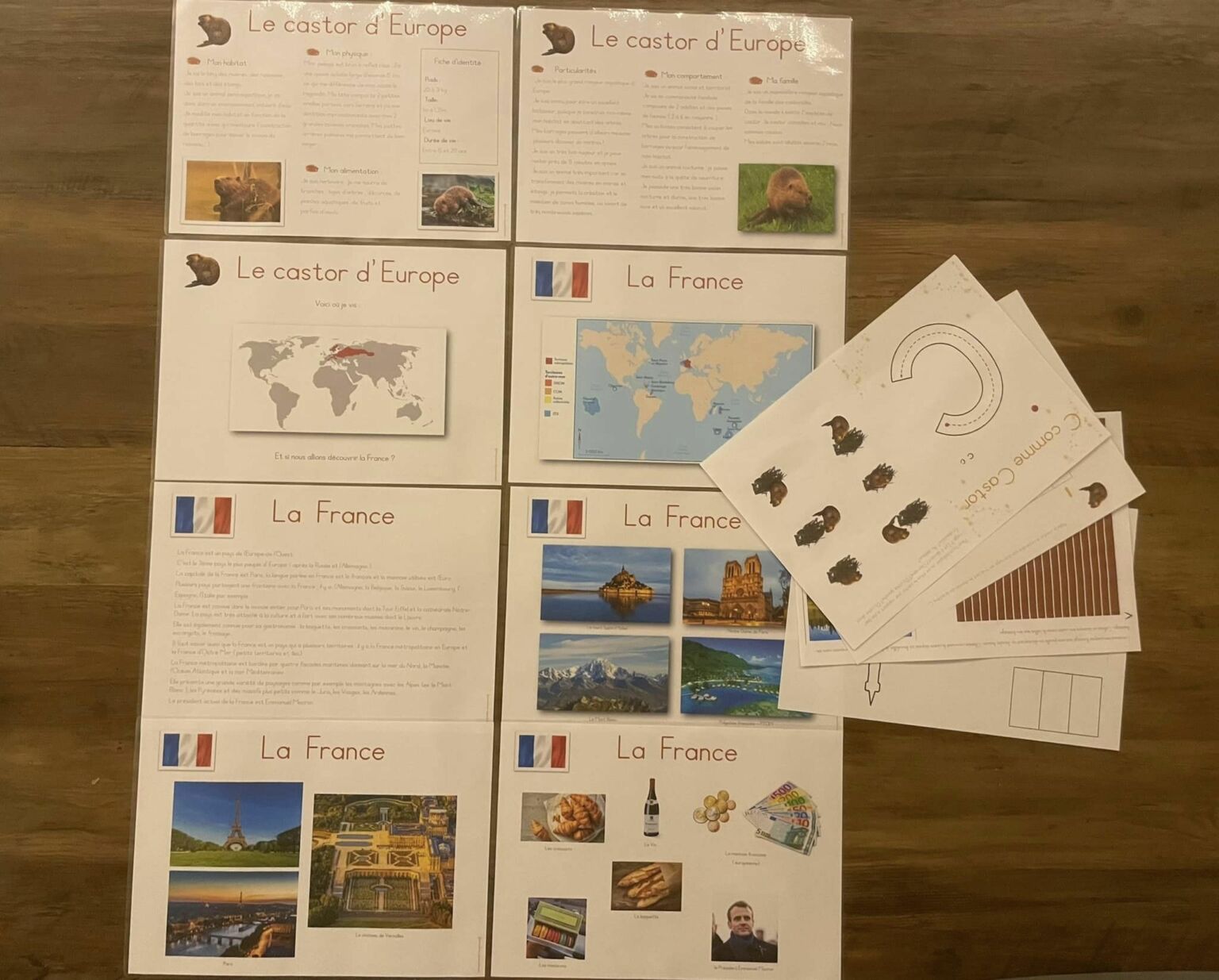 Calendrier de l’avent – le tour du monde des animaux PARTIE 2 ...