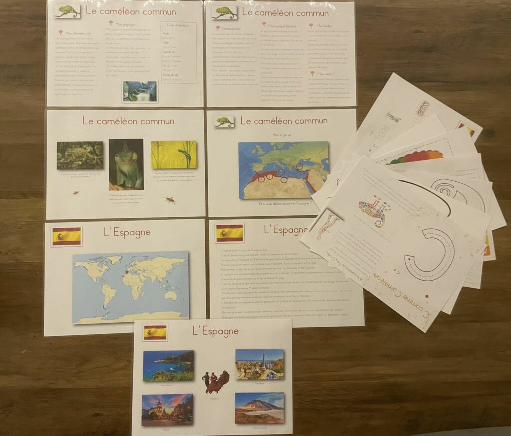 Calendrier de l’avent – le tour du monde des animaux PARTIE 2 ...