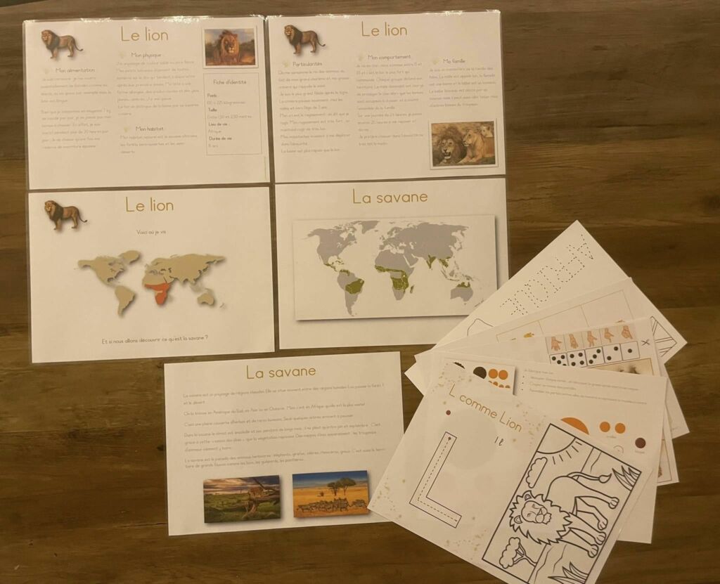 Calendrier de l’avent – le tour du monde des animaux PARTIE 2 ...