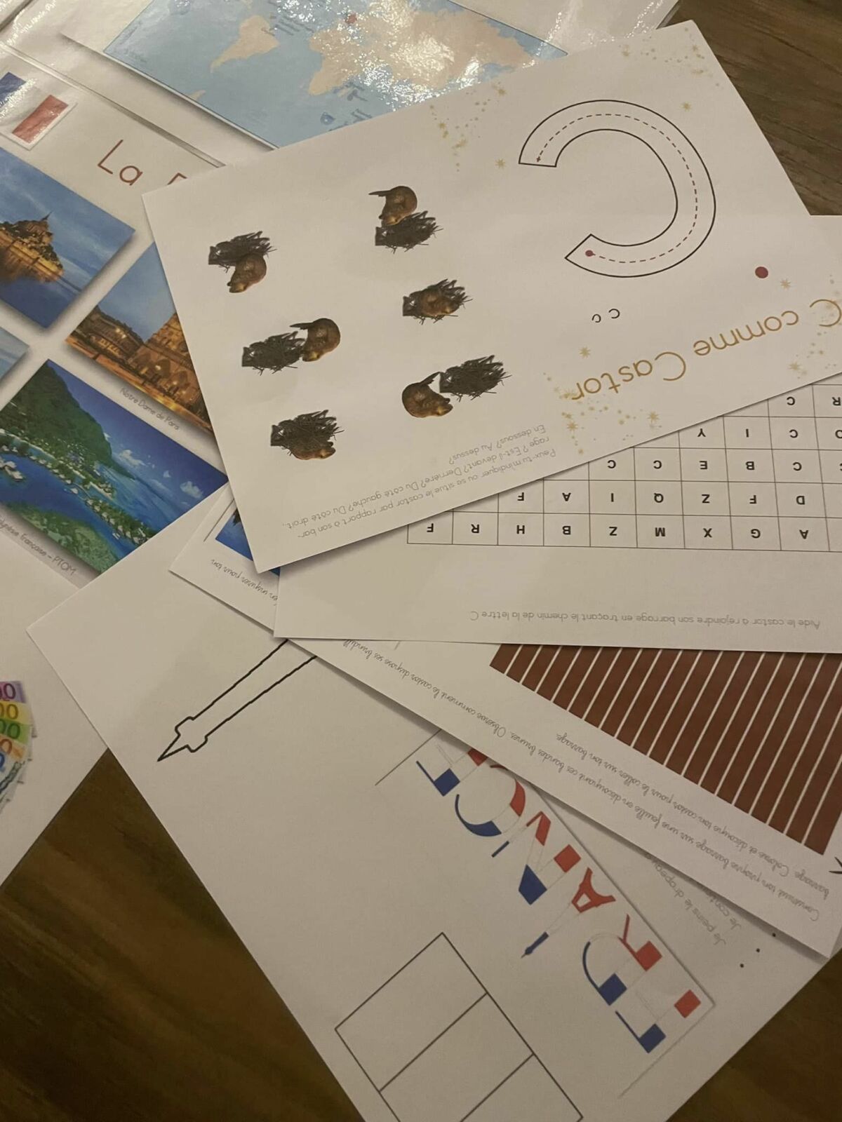 Calendrier de l’avent – le tour du monde des animaux PARTIE 2 ...
