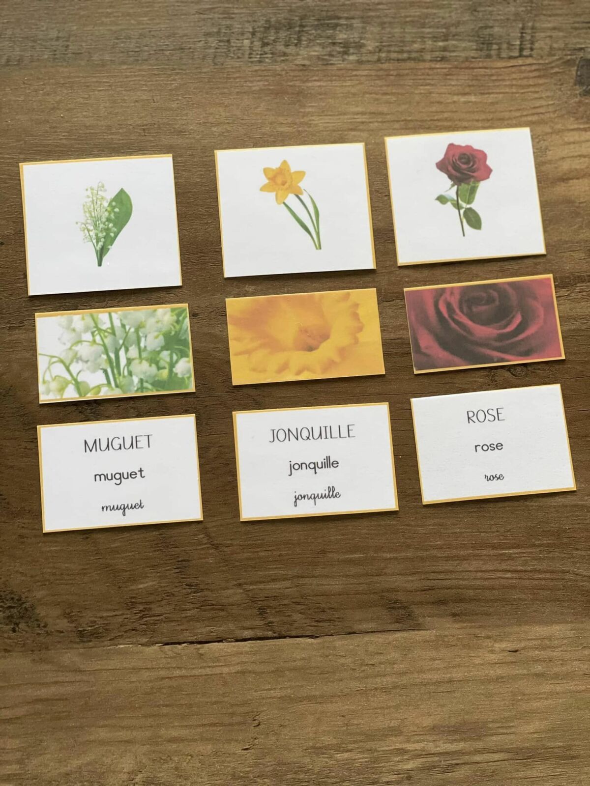 Les fleurs – Apprendre Simplement