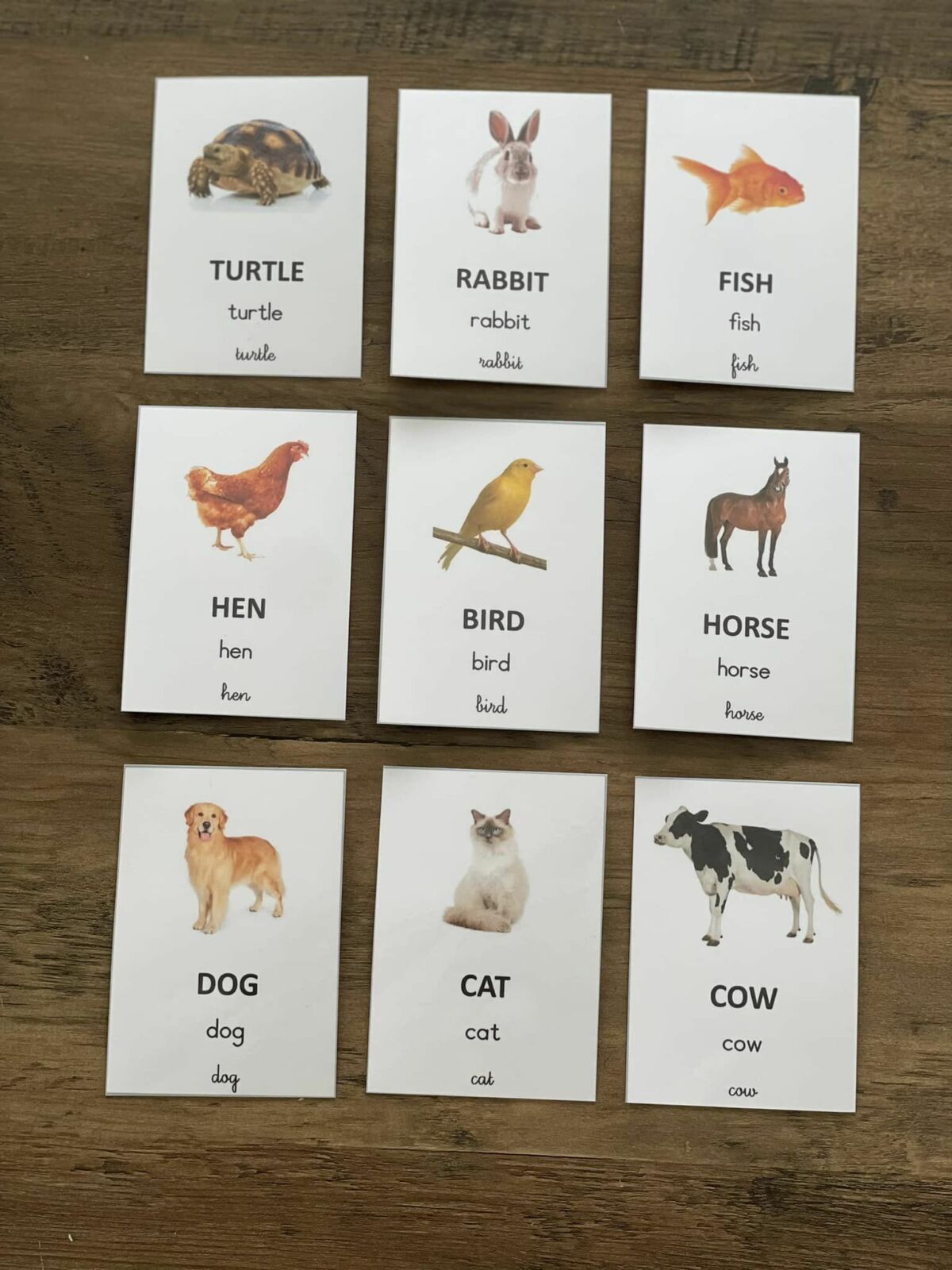 Cartes de nomenclature “Le corps humain” – Apprendre Simplement