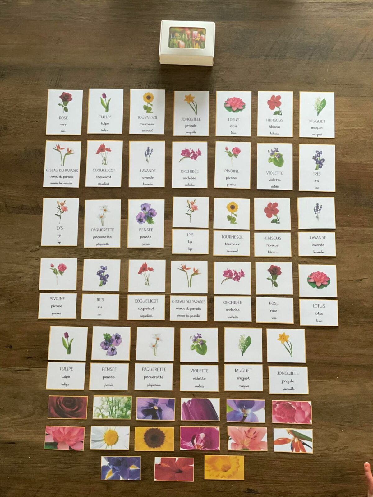 Les fleurs – Apprendre Simplement