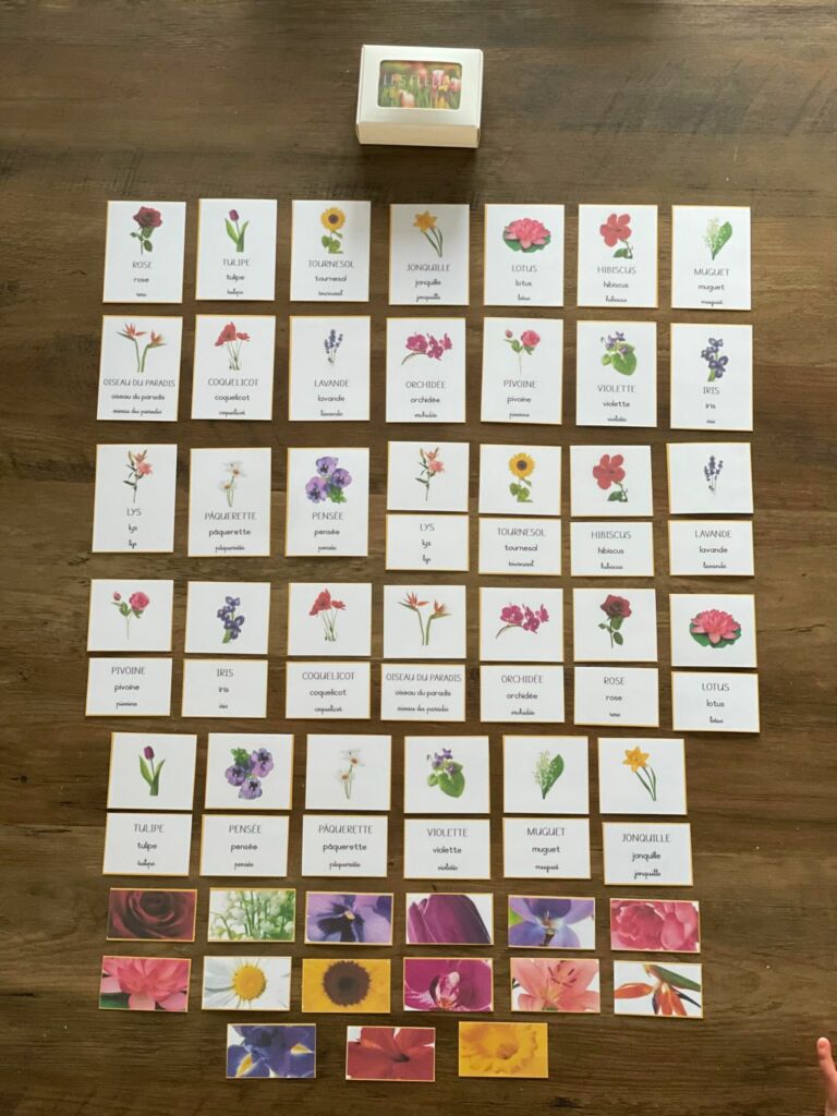 Les fleurs – Apprendre Simplement