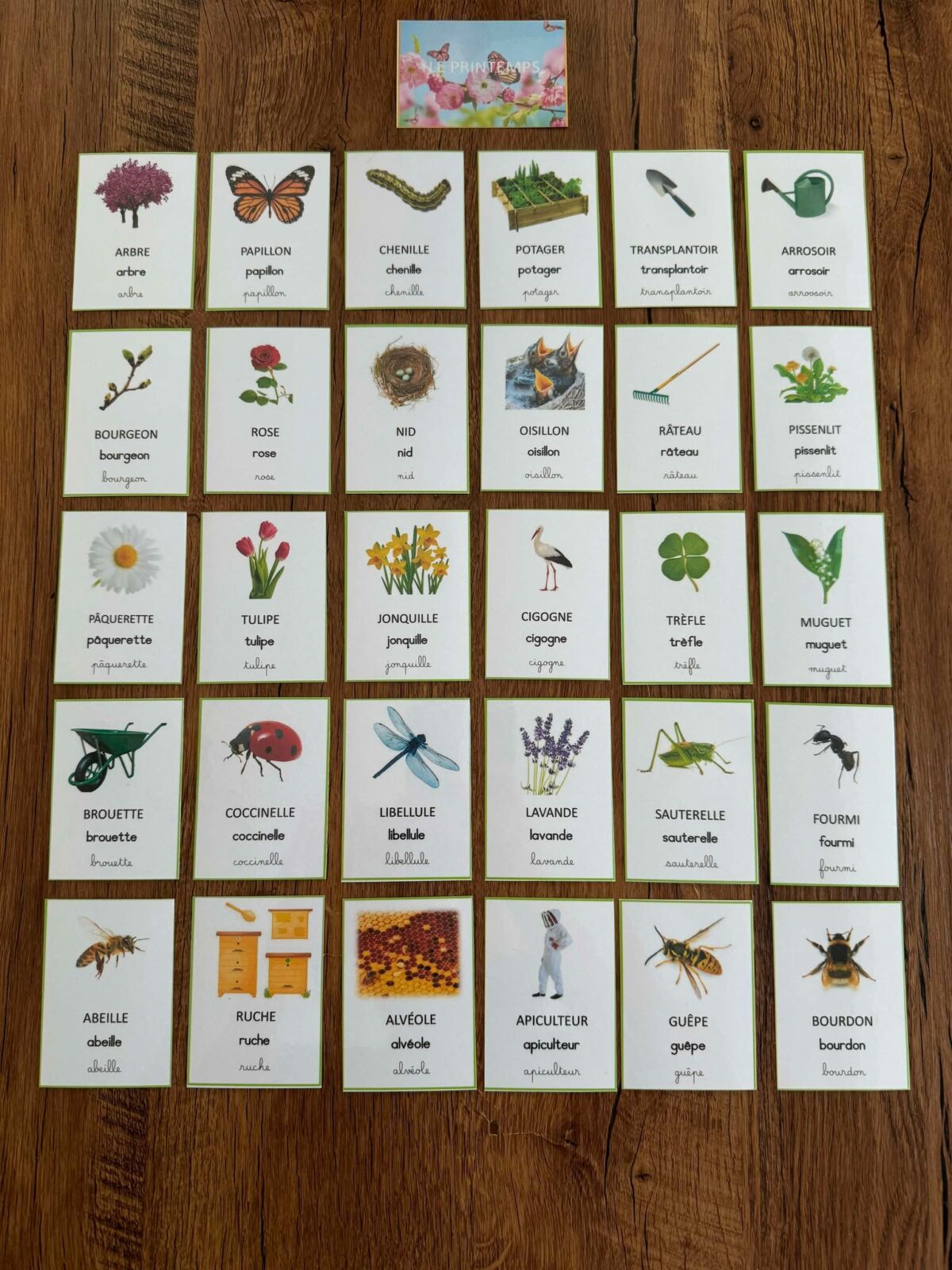 Le printemps – Apprendre Simplement